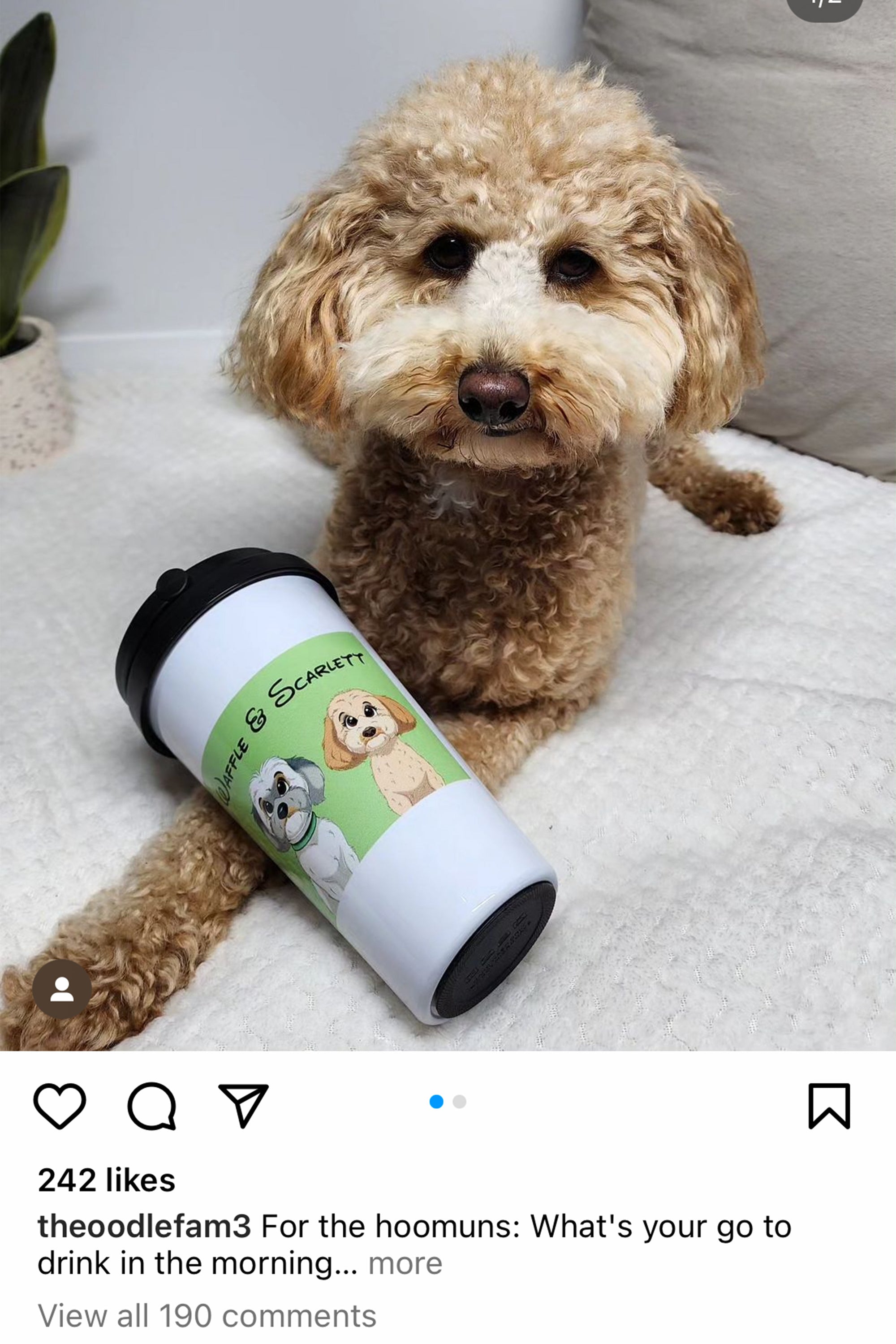 Print & Ship - Get Your Portrait Printed & Shipped – PixArt Creatives